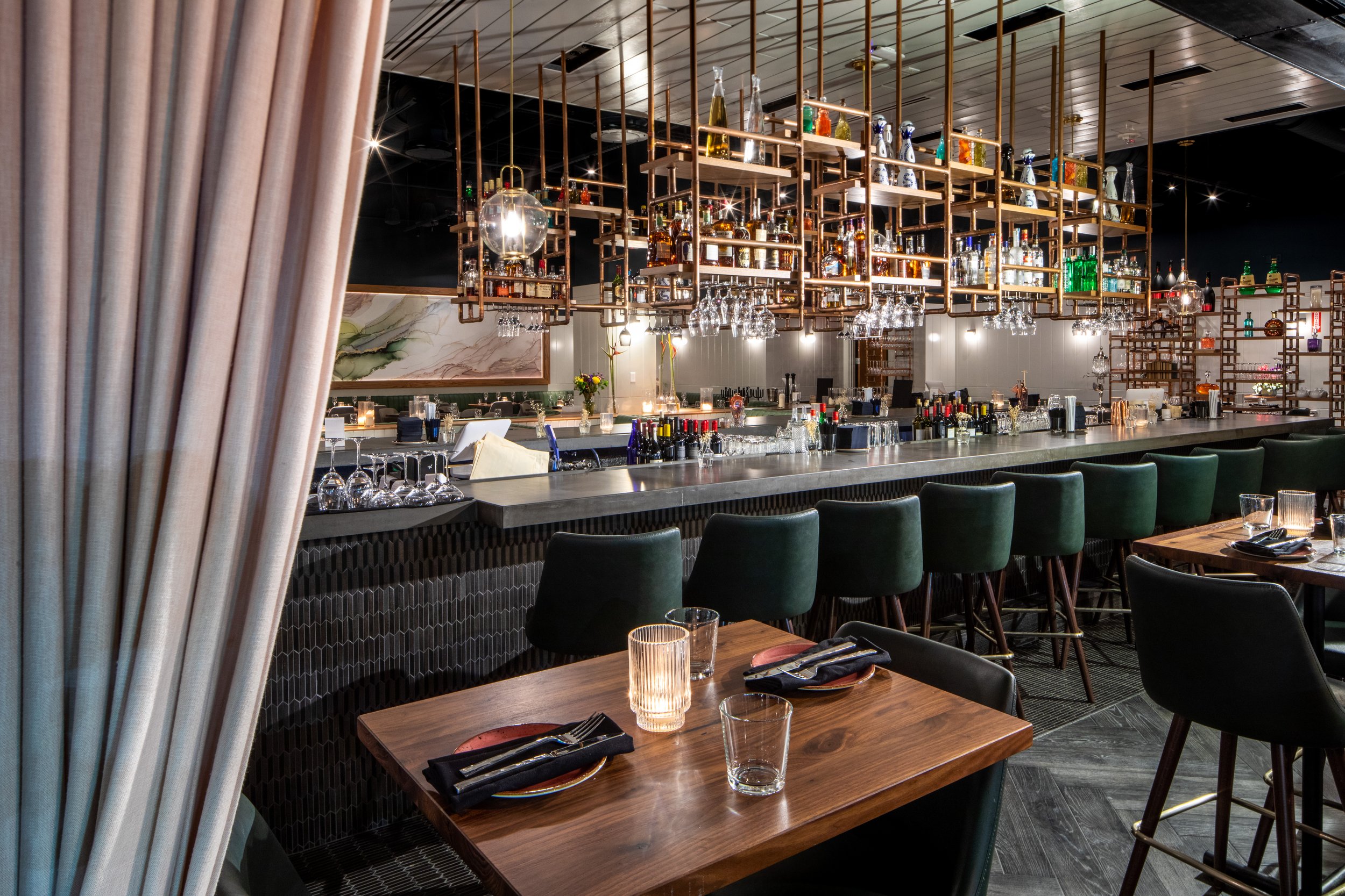 Visit — Blue Dog Boca