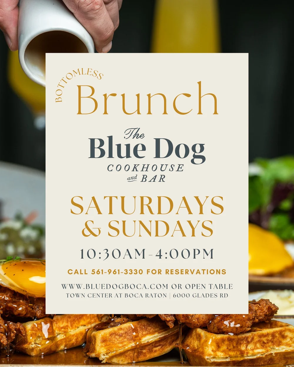 Our Events — Blue Dog Boca