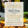 Our Events — Blue Dog Boca
