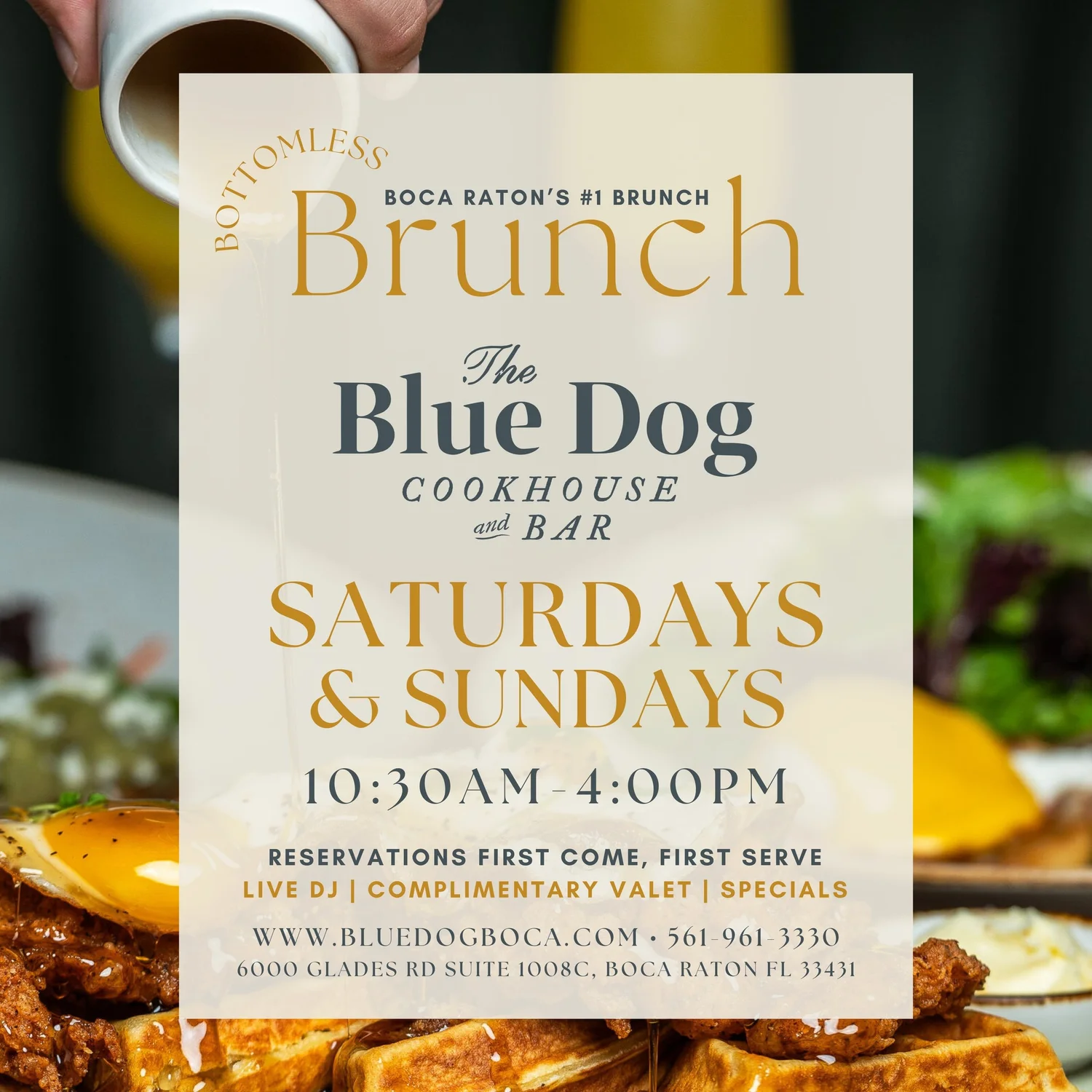 Our Events — Blue Dog Boca