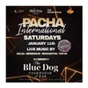 Our Events — Blue Dog Boca