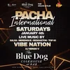 EVENTS — Blue Dog Boca