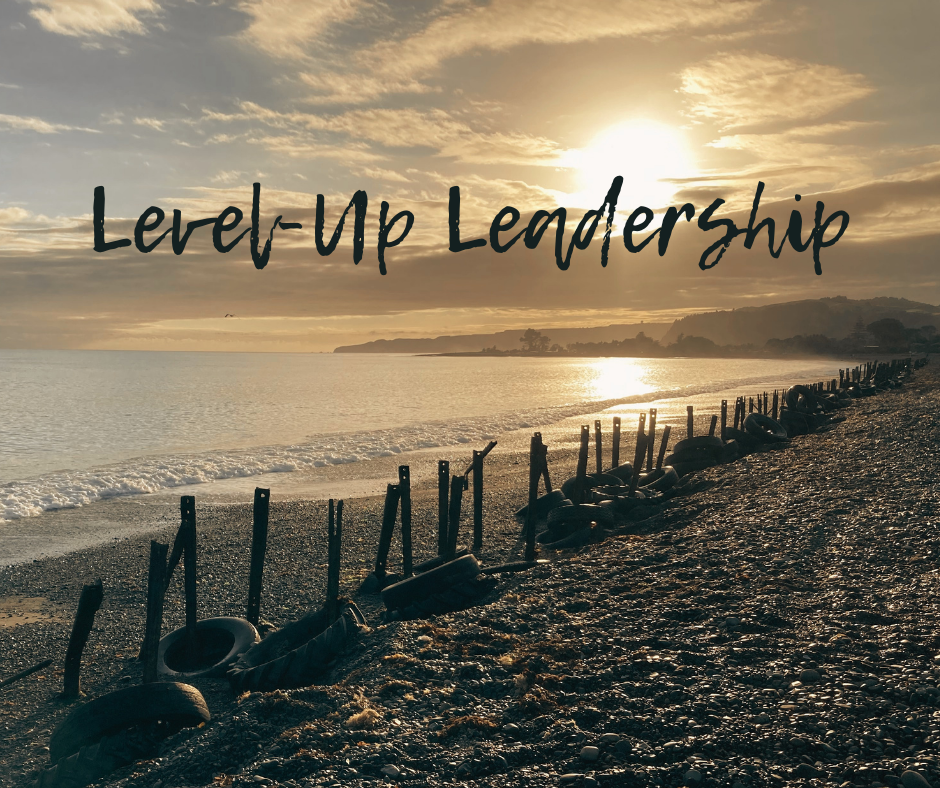 Level-Up Leadership - starts 10th Jan 2021 — Stones Throw