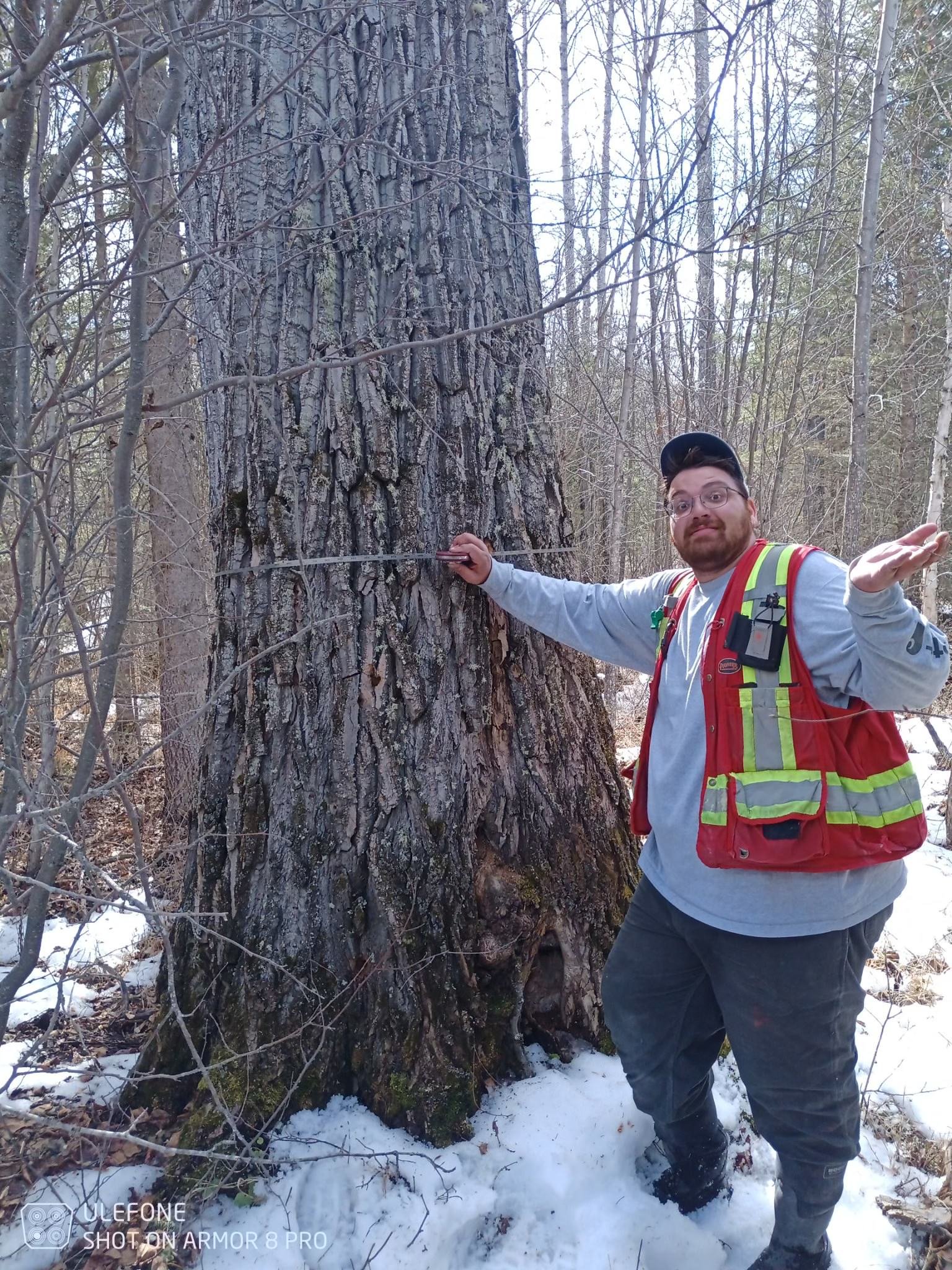 Foresters, Environmental Planners, GIS Analysts, and More — Carson ...