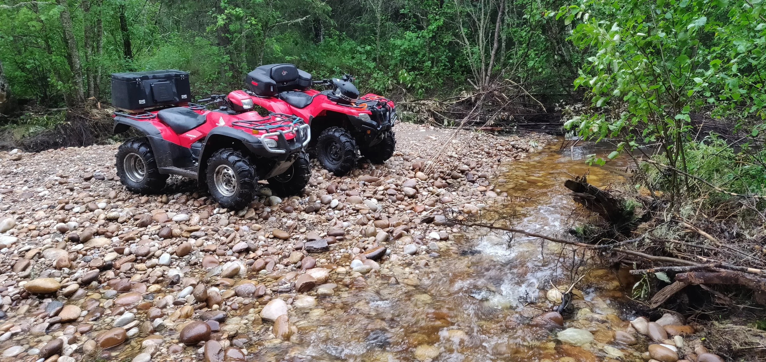 Tactical Forest Planning — Carson Integrated