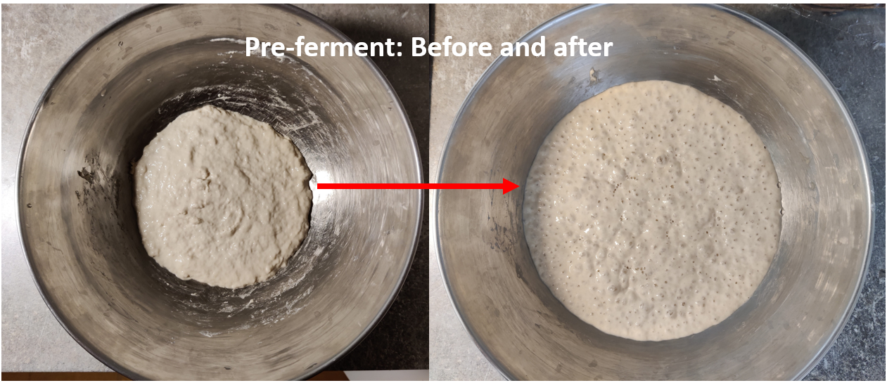 The Breads of Egypt: Eish Baladi - عيش بلدي — Tableya