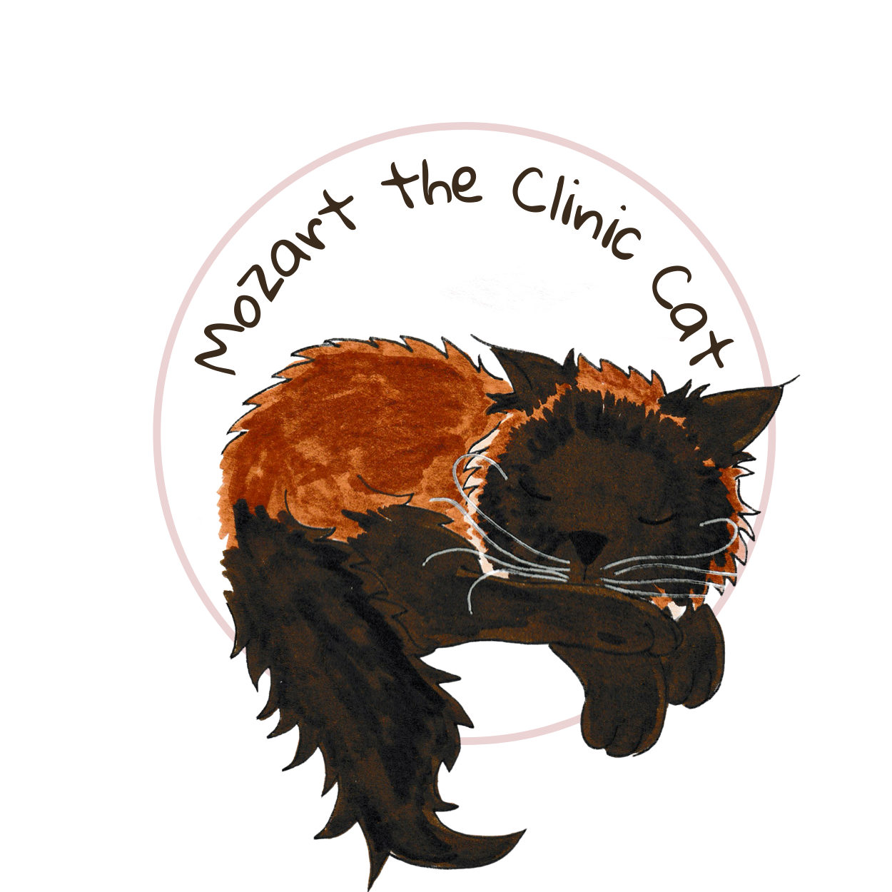 The Lost Bunny (Mozart the Clinic Cat #2) — Chicken House Press