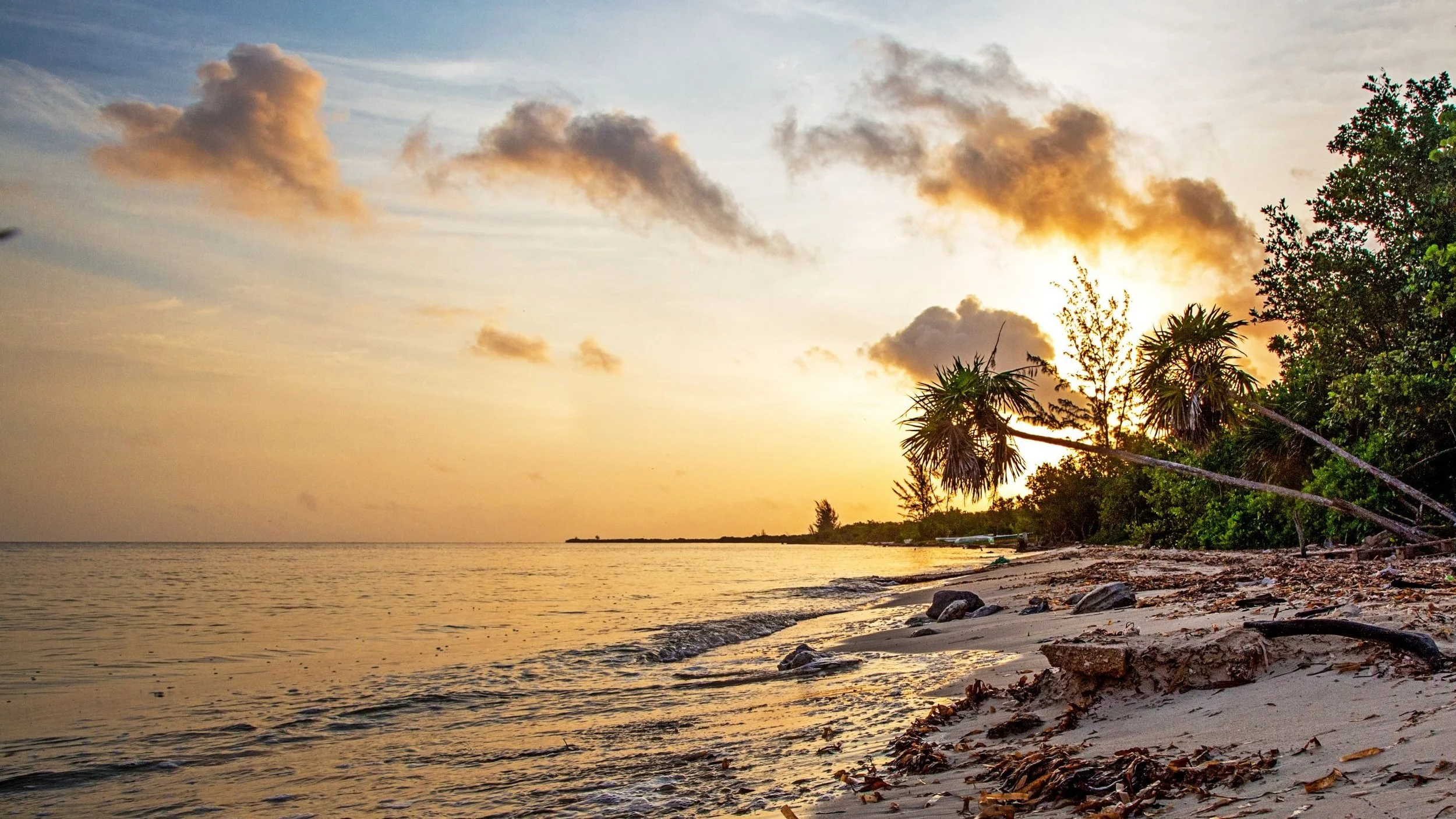 Hotel Commission Rates for Travel Agents — MainStreet Travel Agency