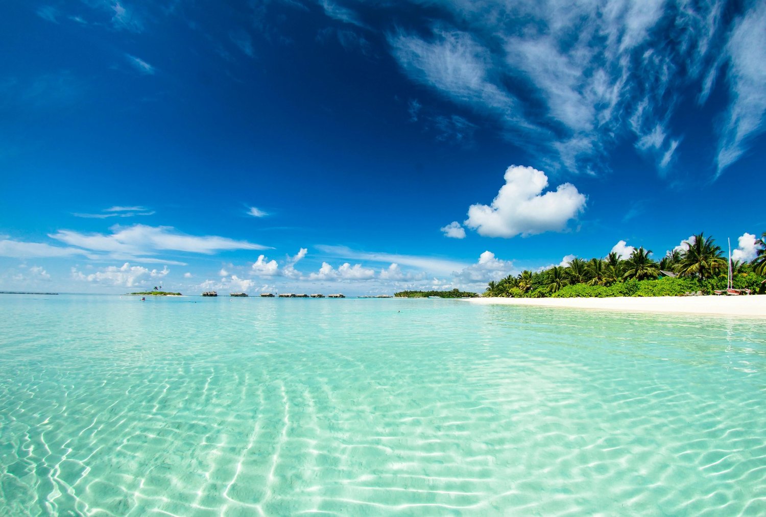 Travel Institute Certification Programs (CTA, CTC, and more ...