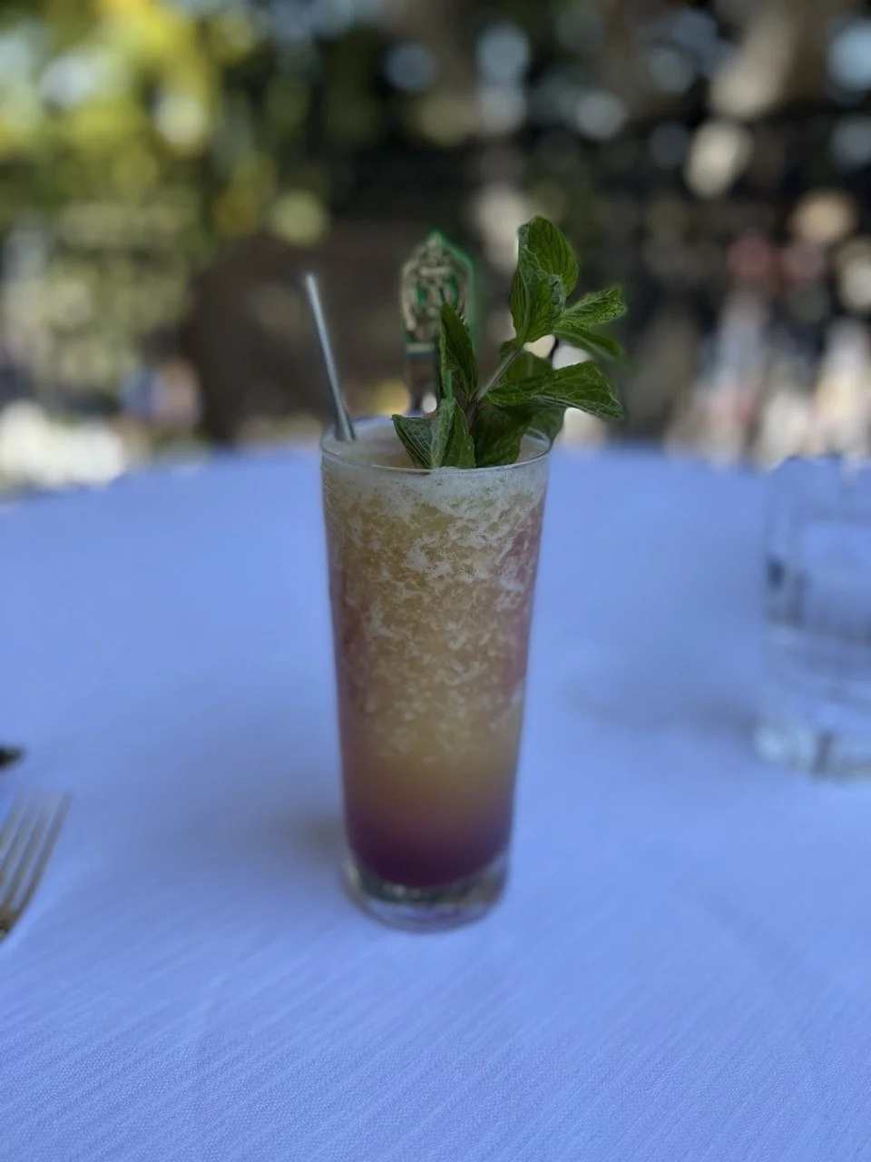 Club 33 at Christmas: Inside Disney's Most Exclusive Holiday Experience ...