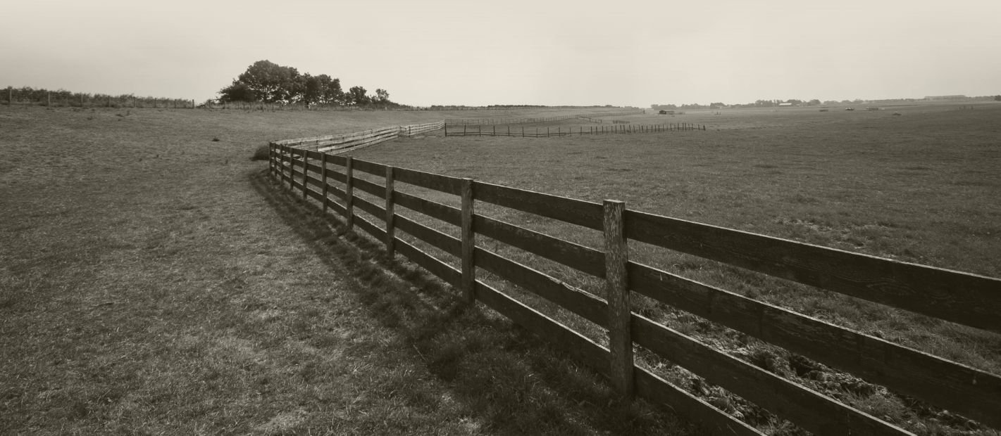 Texas Hemp Coalition | Advocacy Group for Texas Hemp Industry