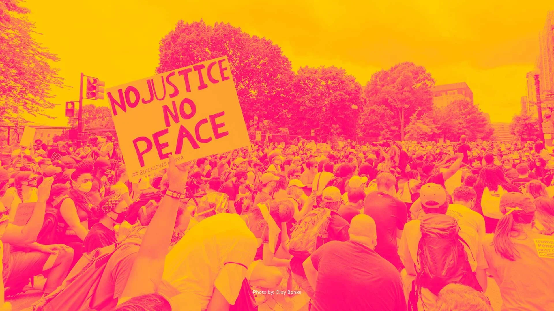 Social Change Fund United