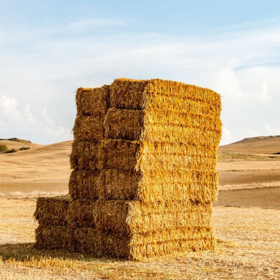 Farm Services — Highview Farms