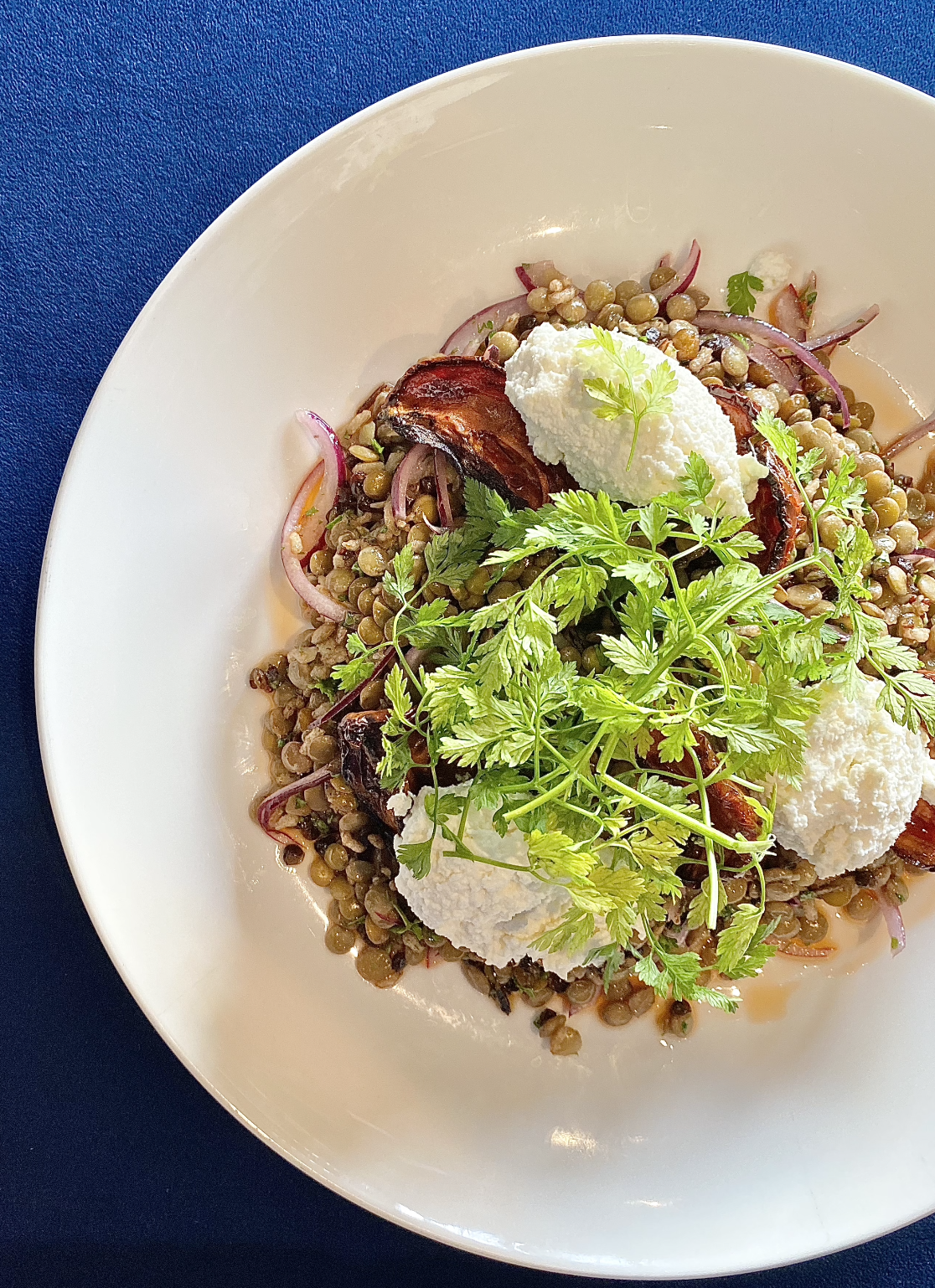 Menu | Discover and Dine Today — Starling Restaurant | Ottawa, ON