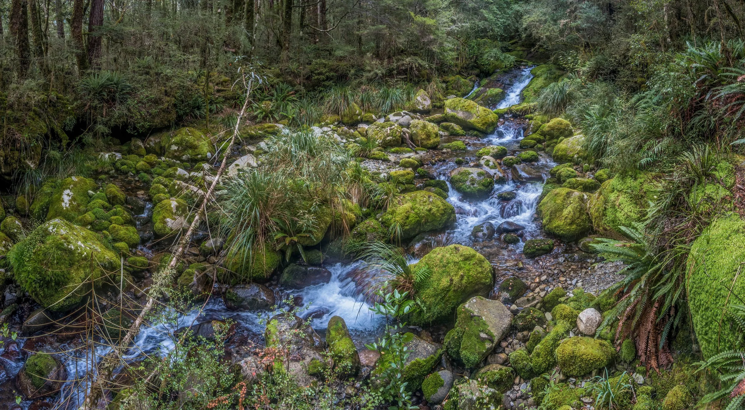Ecosystem Reconstruction Map — Eco-index