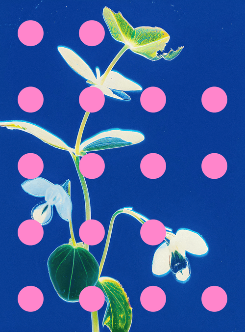 Where Art is Born - Bright Moments