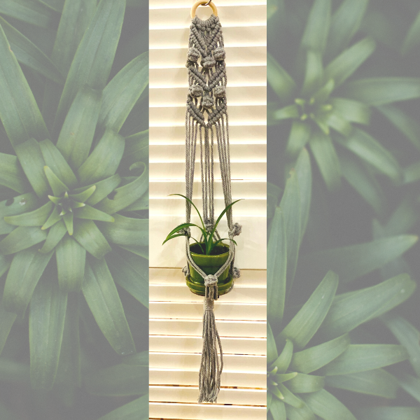 Mini Plant Hangers — Simply Tangled