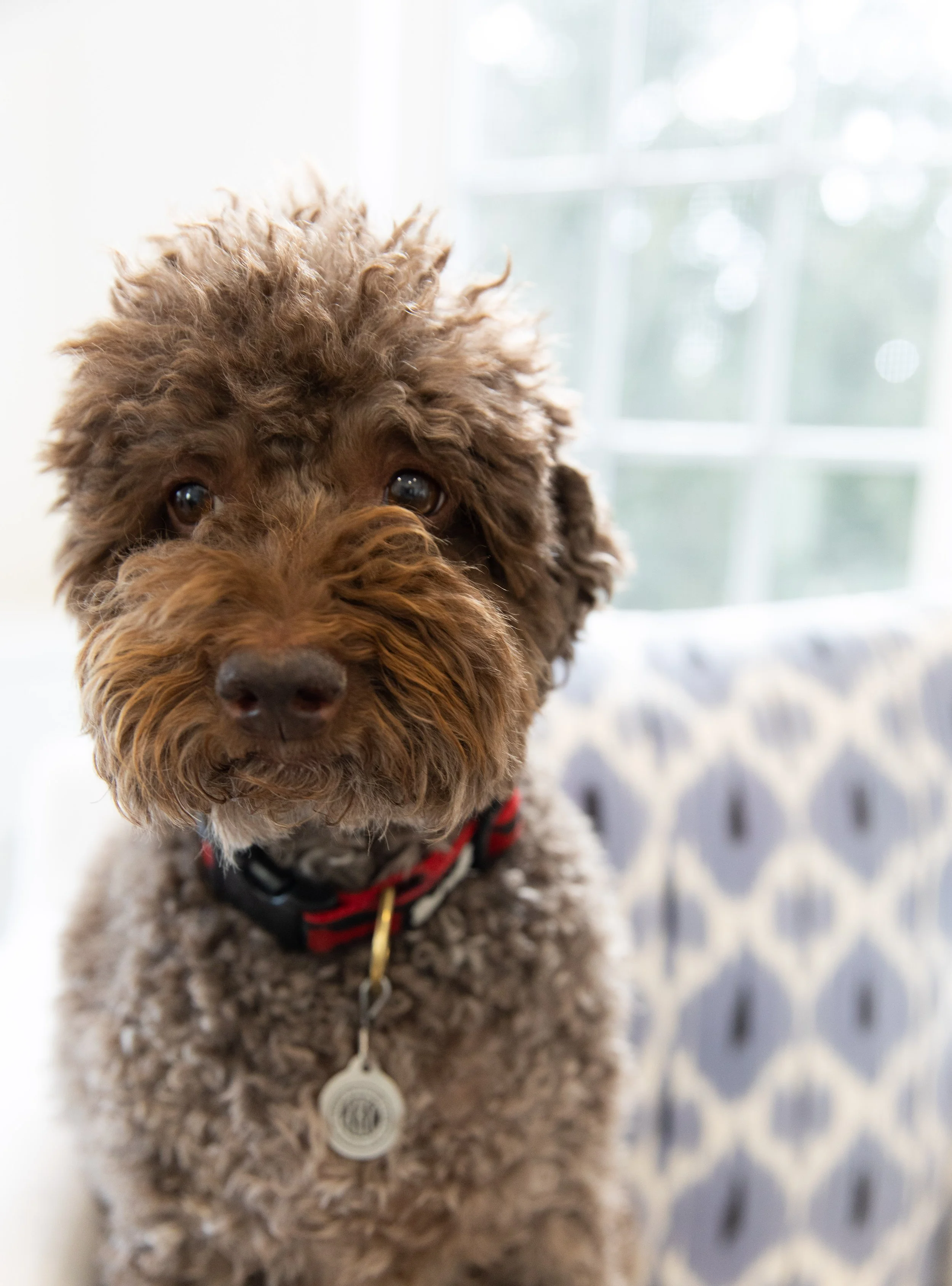 About — Gretchen Carlson