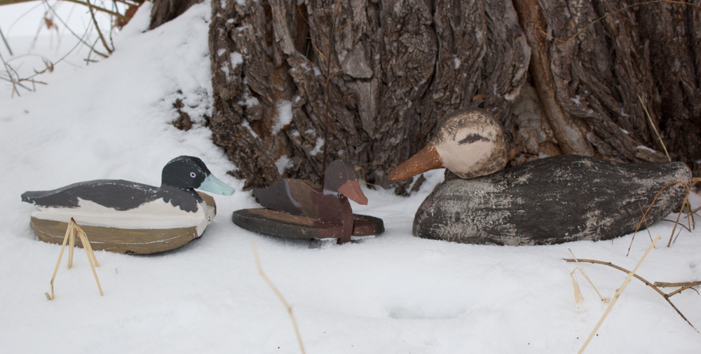 Duck Decoys — rosario parker gordon
