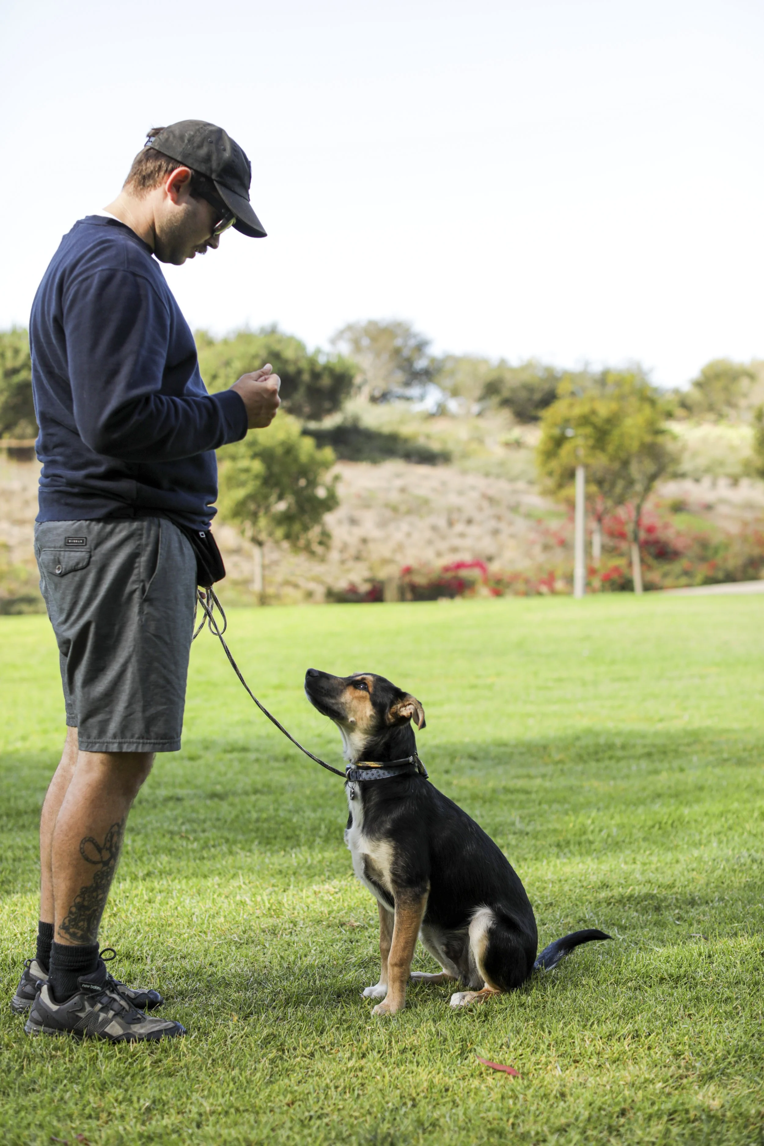 Scott Clark Dog Training - Orange County CA Dog Trainer