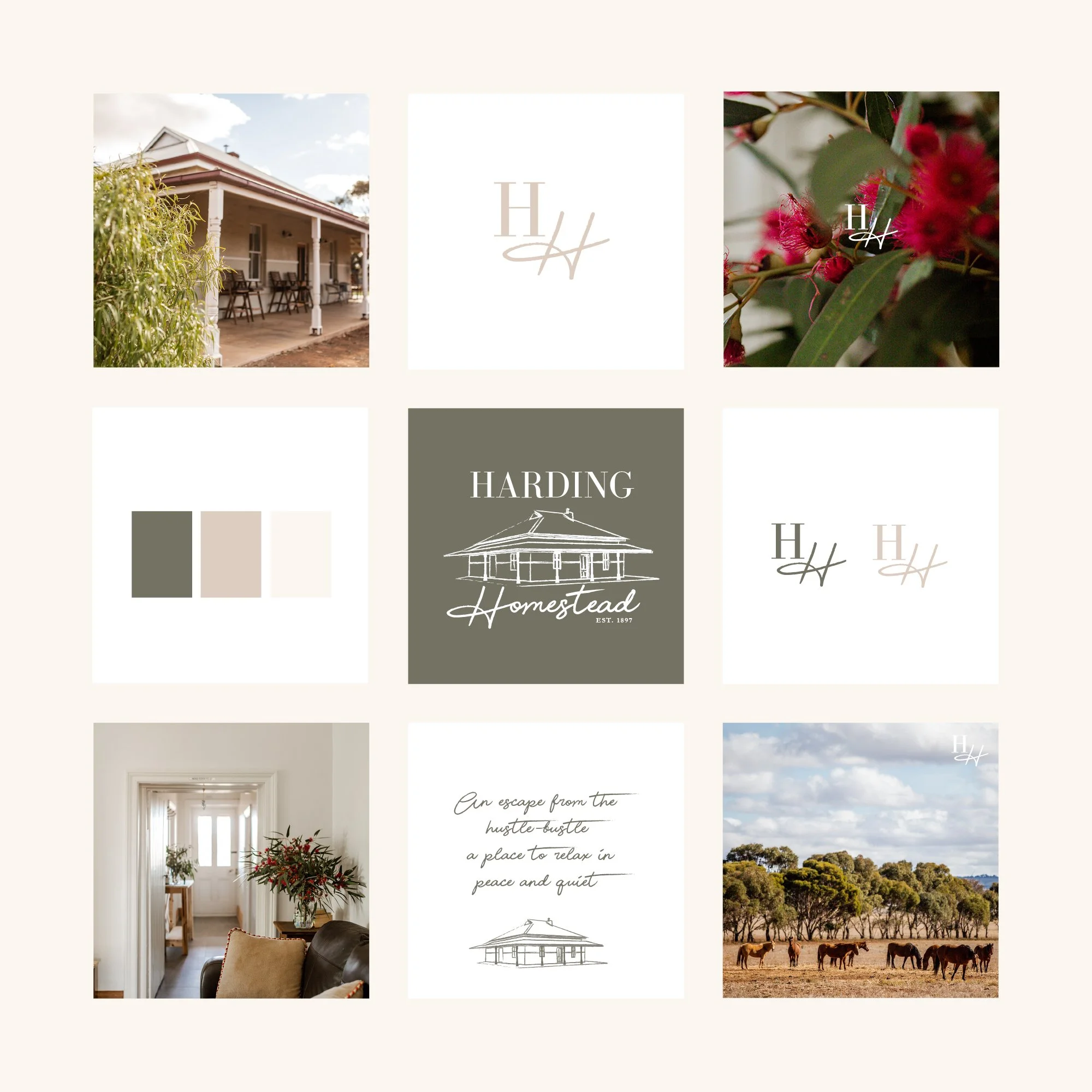 Harding Homestead - South Australian Homestead - Website and branding ...