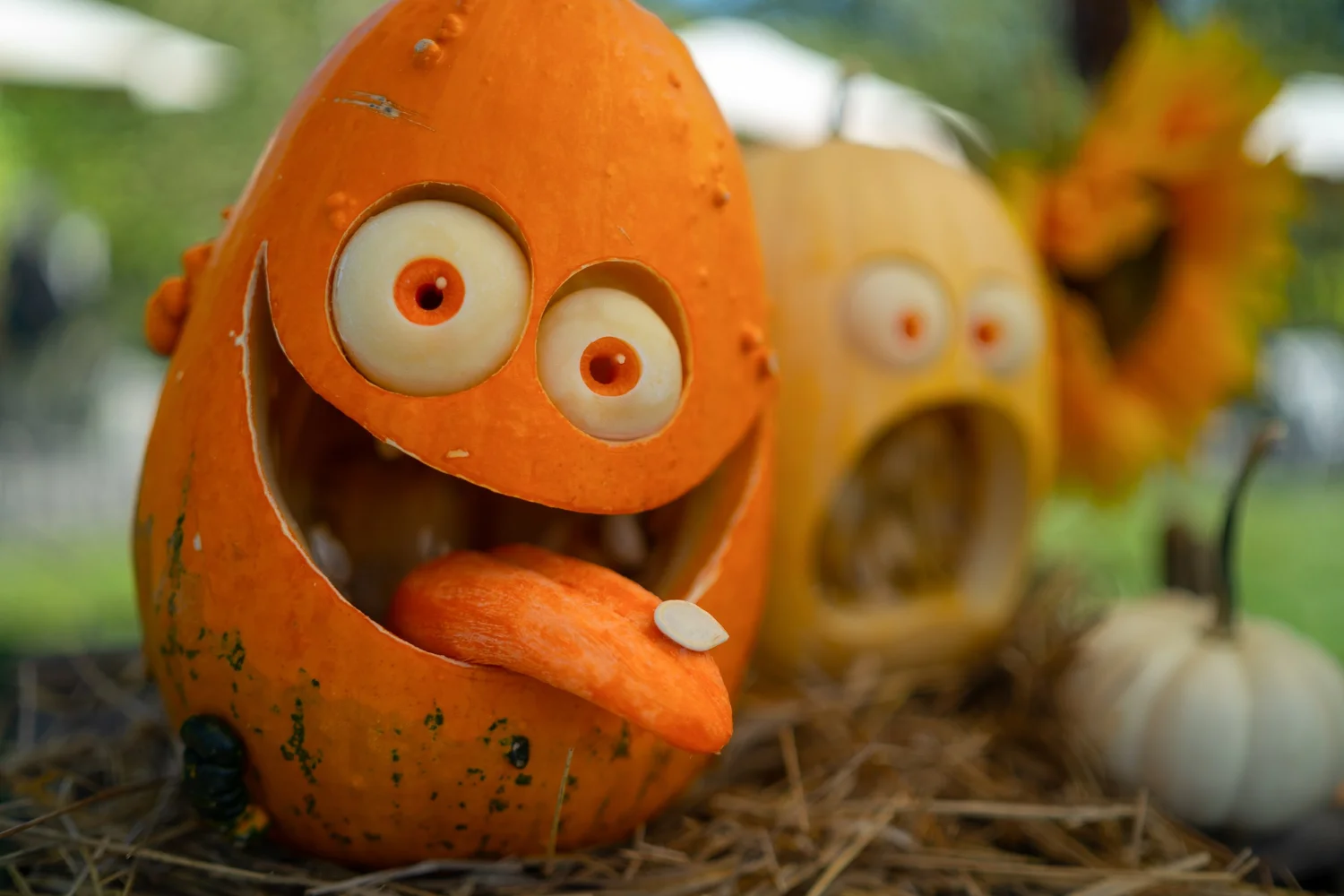 Adam Bierton- Professional Pumpkin Carver