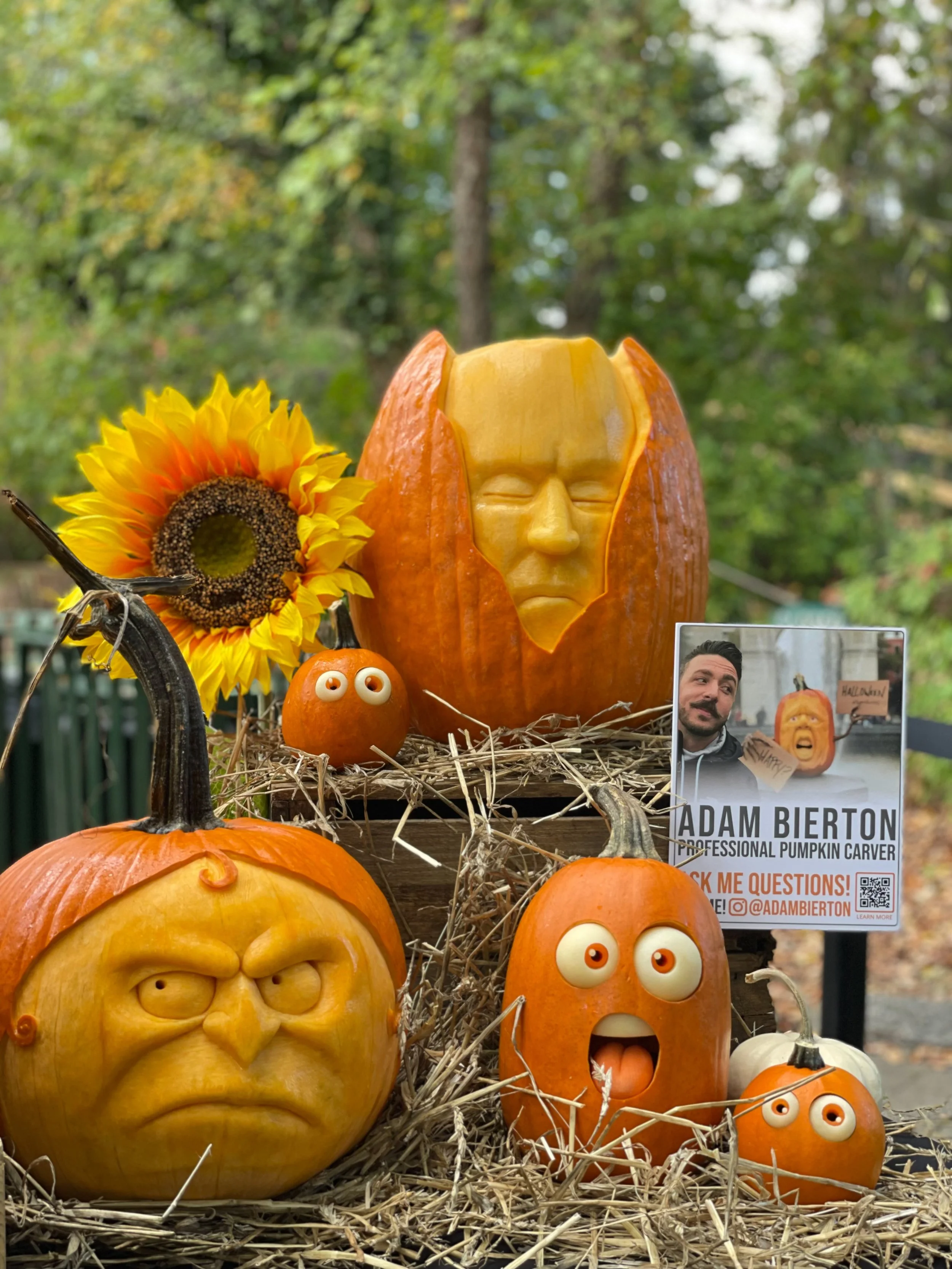 Adam Bierton- Professional Pumpkin Carver