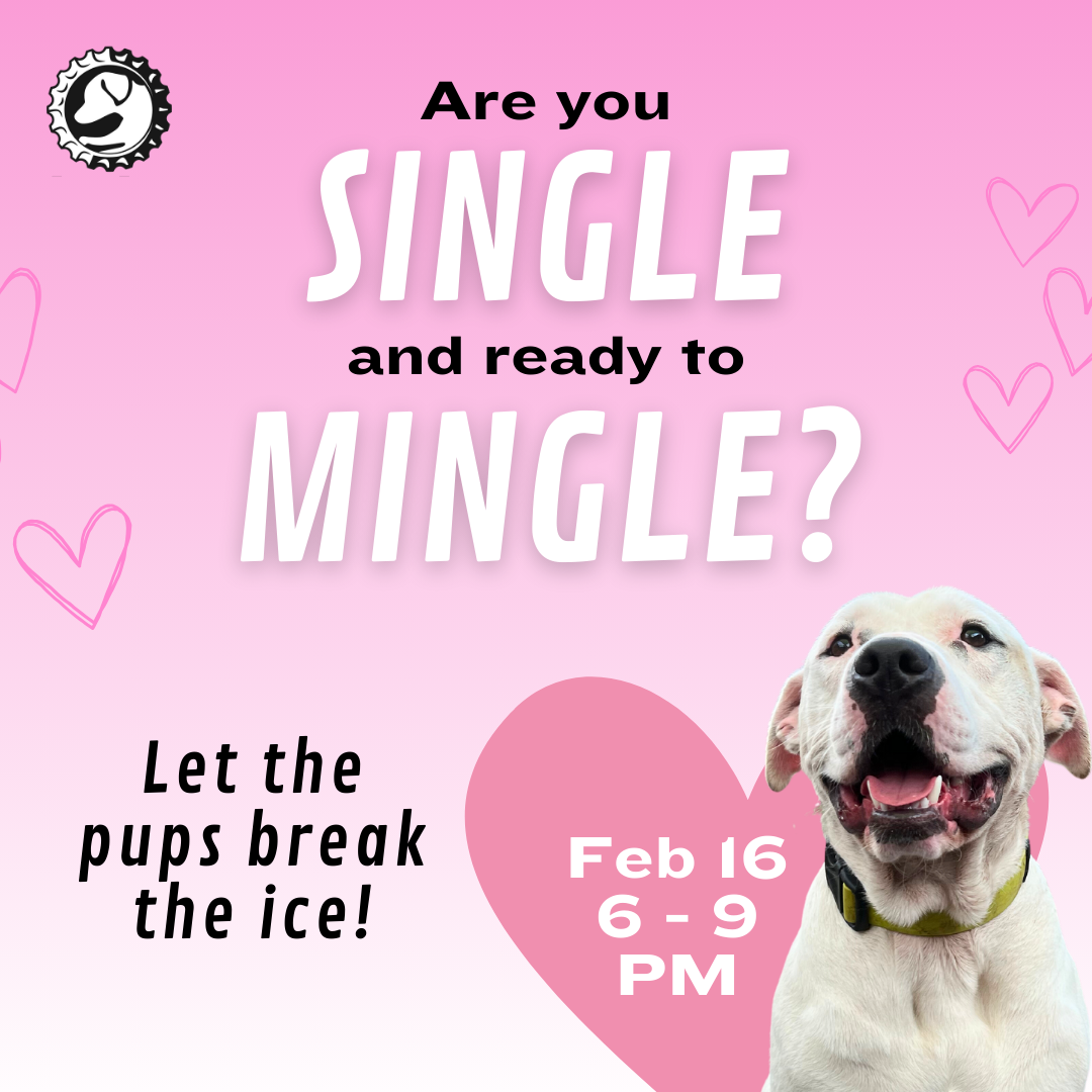 Monthly Events — Taps and Tails