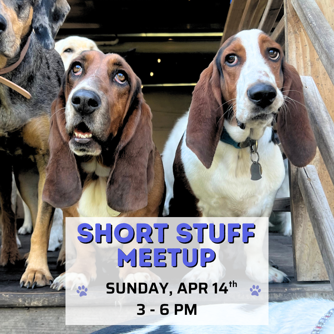 Monthly Events — Taps and Tails