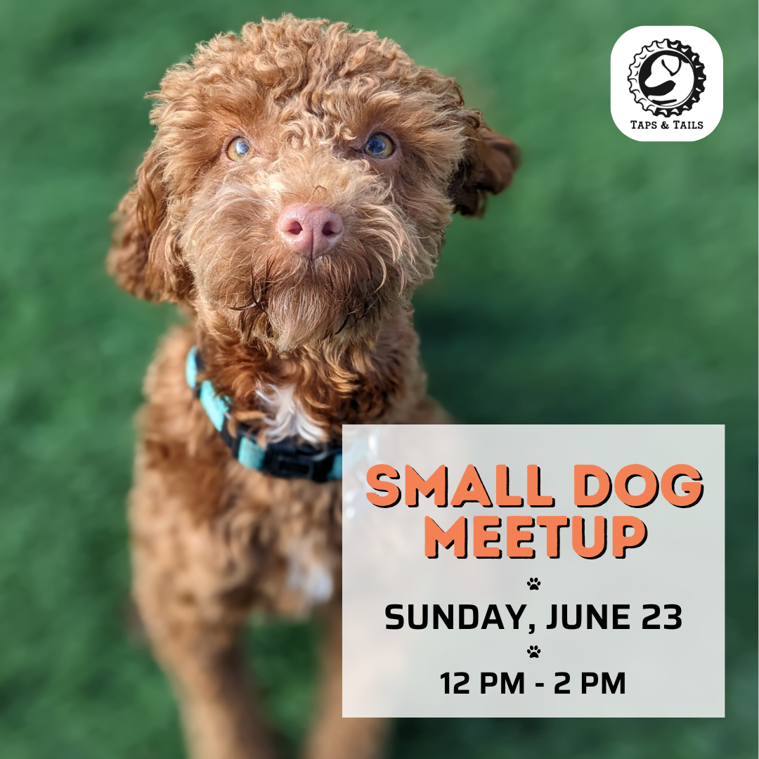 Monthly Events — Taps and Tails