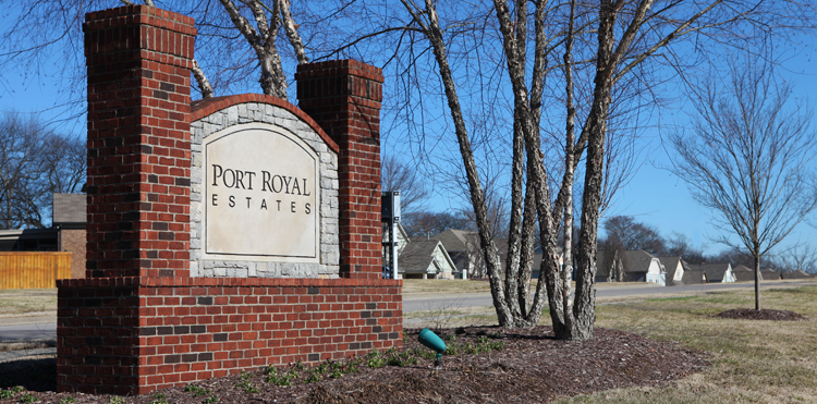 Projects — Achiever Development