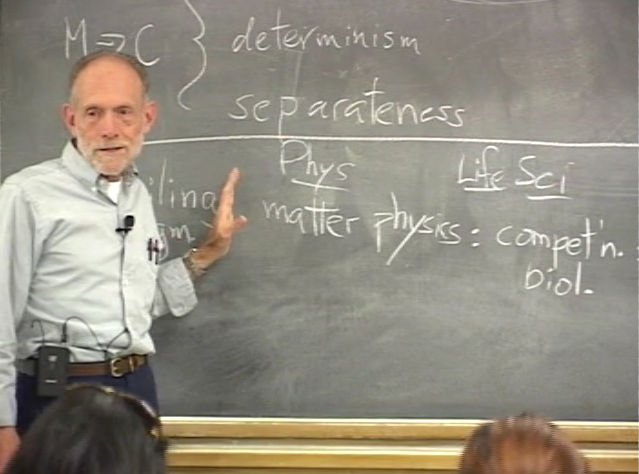 What's New? — The Metta Center for Nonviolence