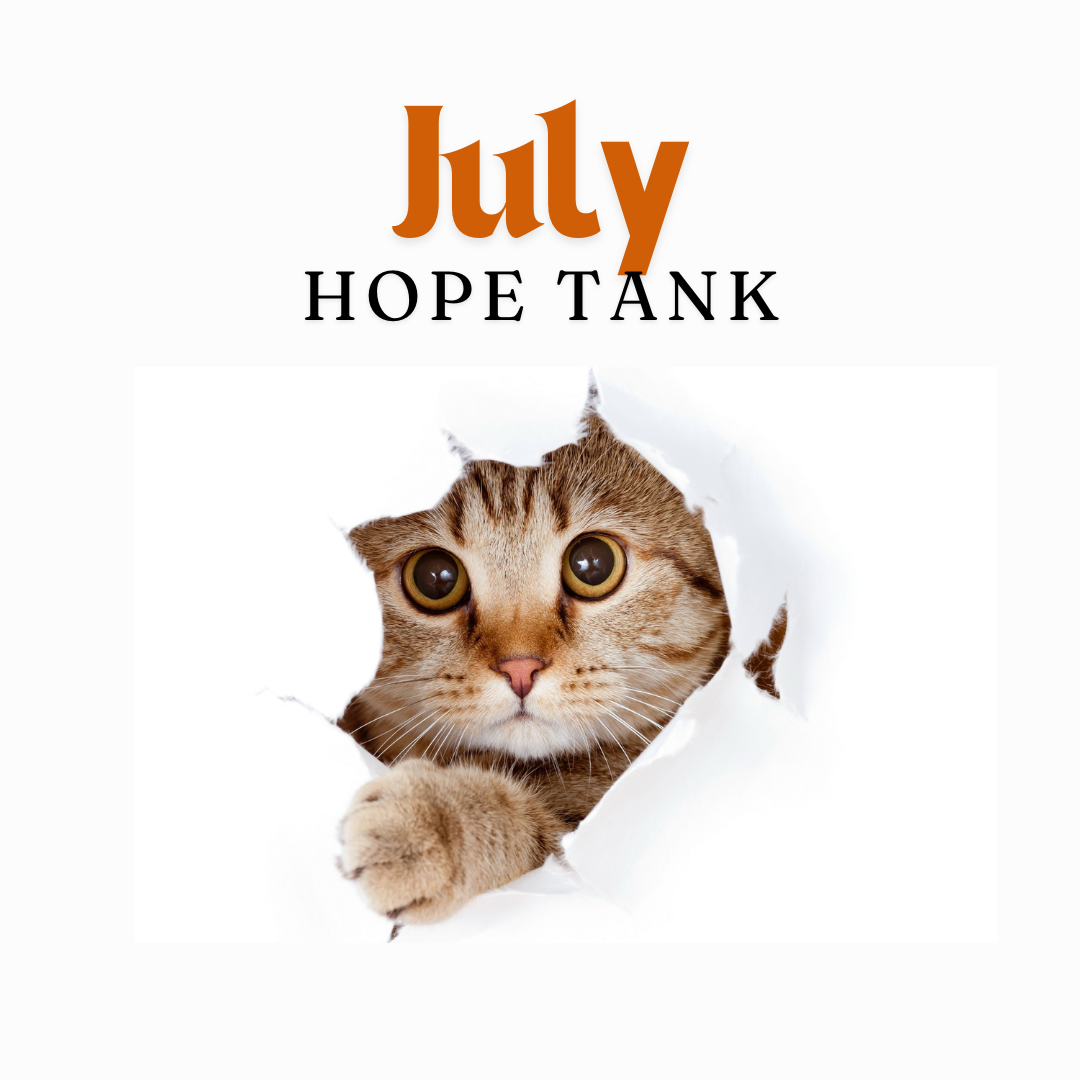 Hope Tank 2.0 — The Metta Center for Nonviolence