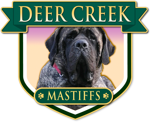 Deer Creek Mastiffs