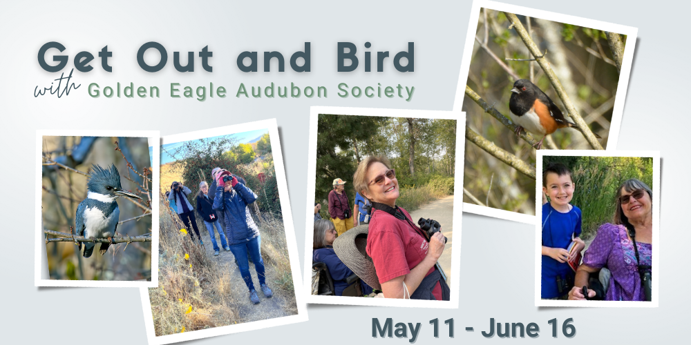 Get Out and Bird With Us — Golden Eagle Audubon