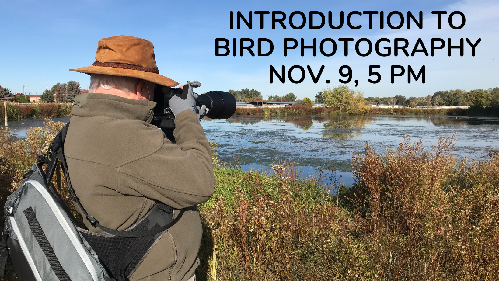 Introduction to Bird Photography — Golden Eagle Audubon