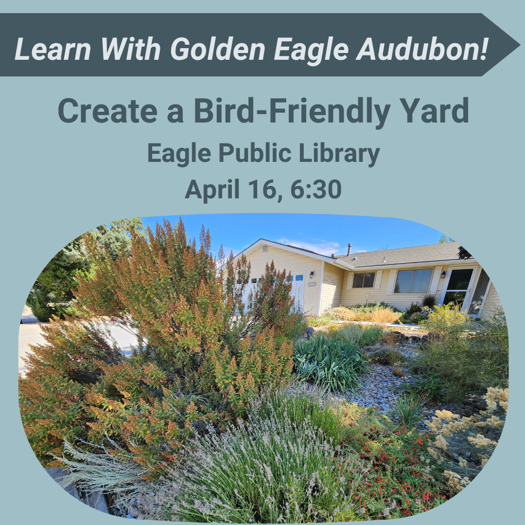 Create a Bird Friendly Yard Class — Golden Eagle Audubon