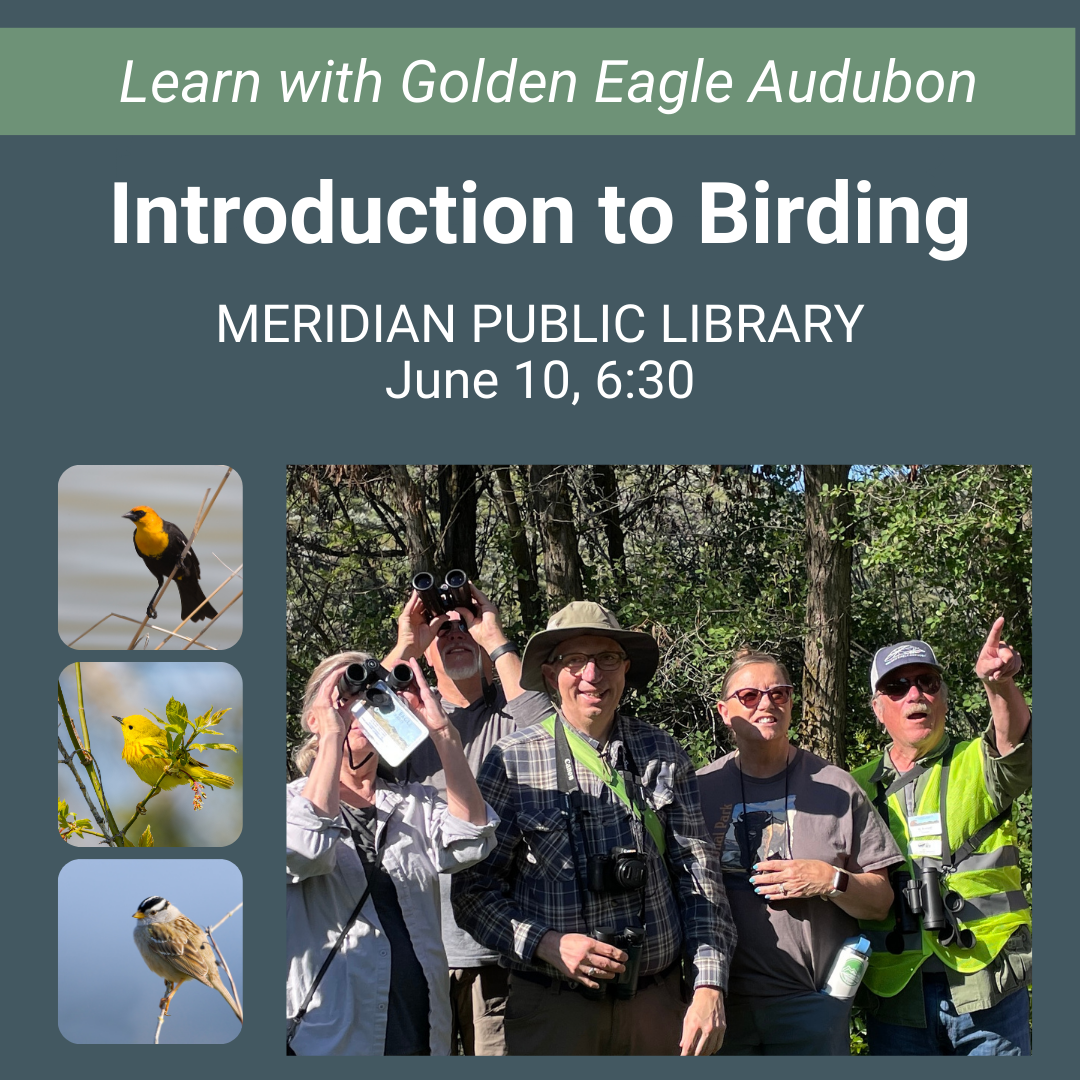 Introduction to Birding Class — Golden Eagle Audubon