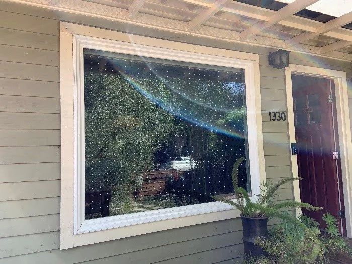 Window Strikes Claim Birds — Golden Eagle Audubon