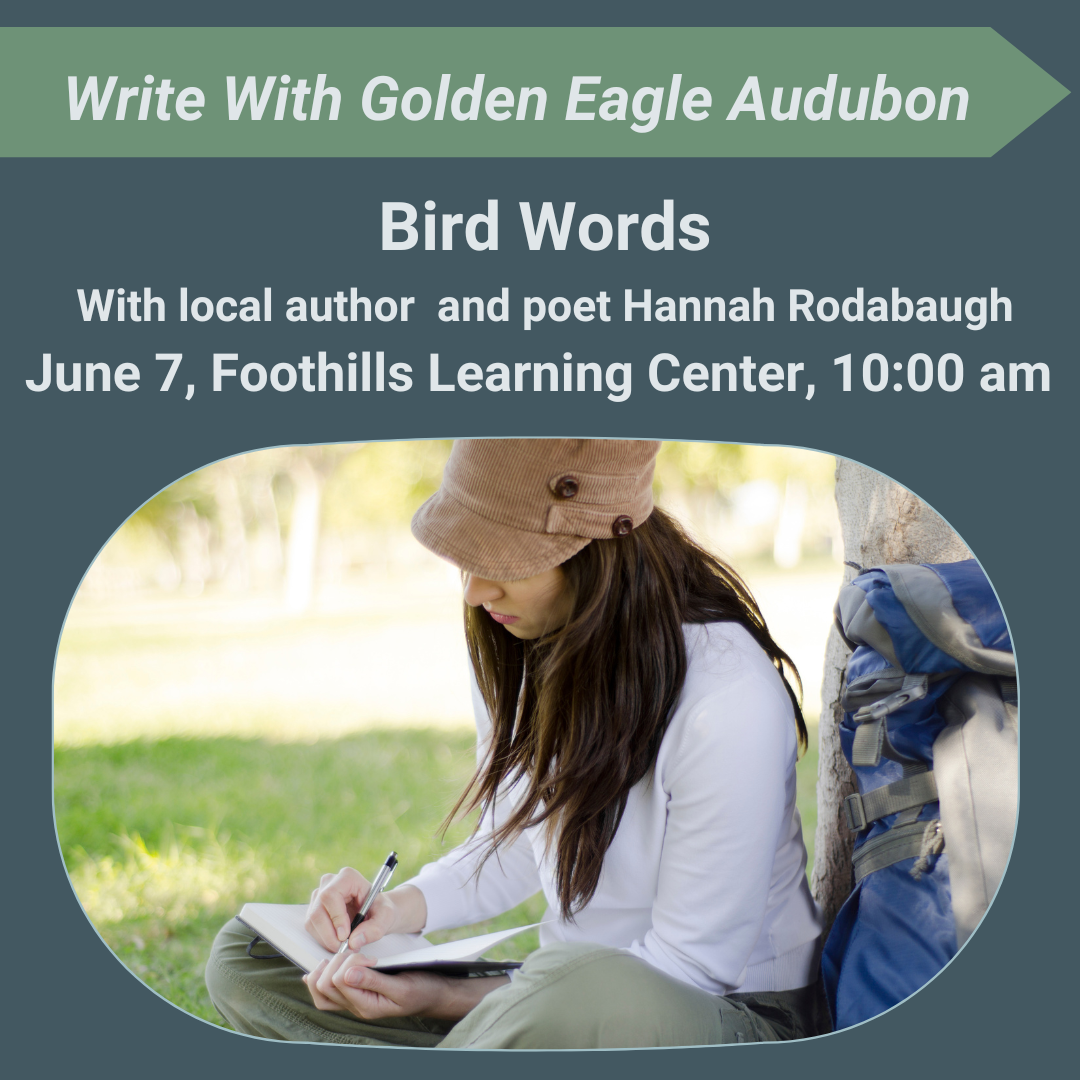 Bird Words — Golden Eagle Audubon