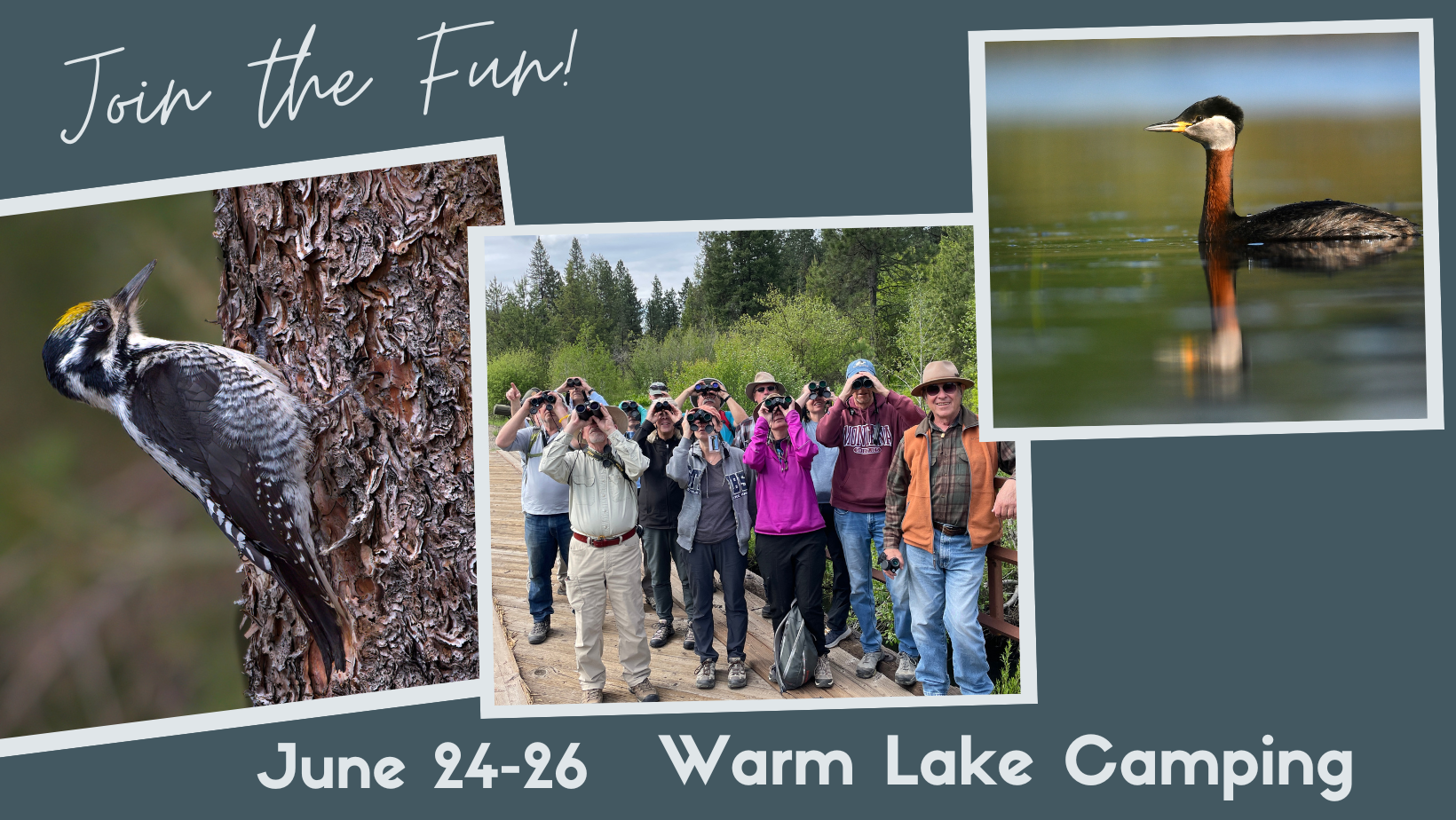 Camping Trip at Warm Lake — Golden Eagle Audubon
