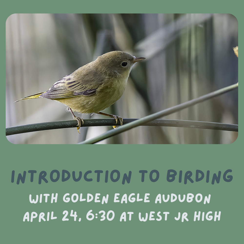 Birding 101 — Golden Eagle Audubon