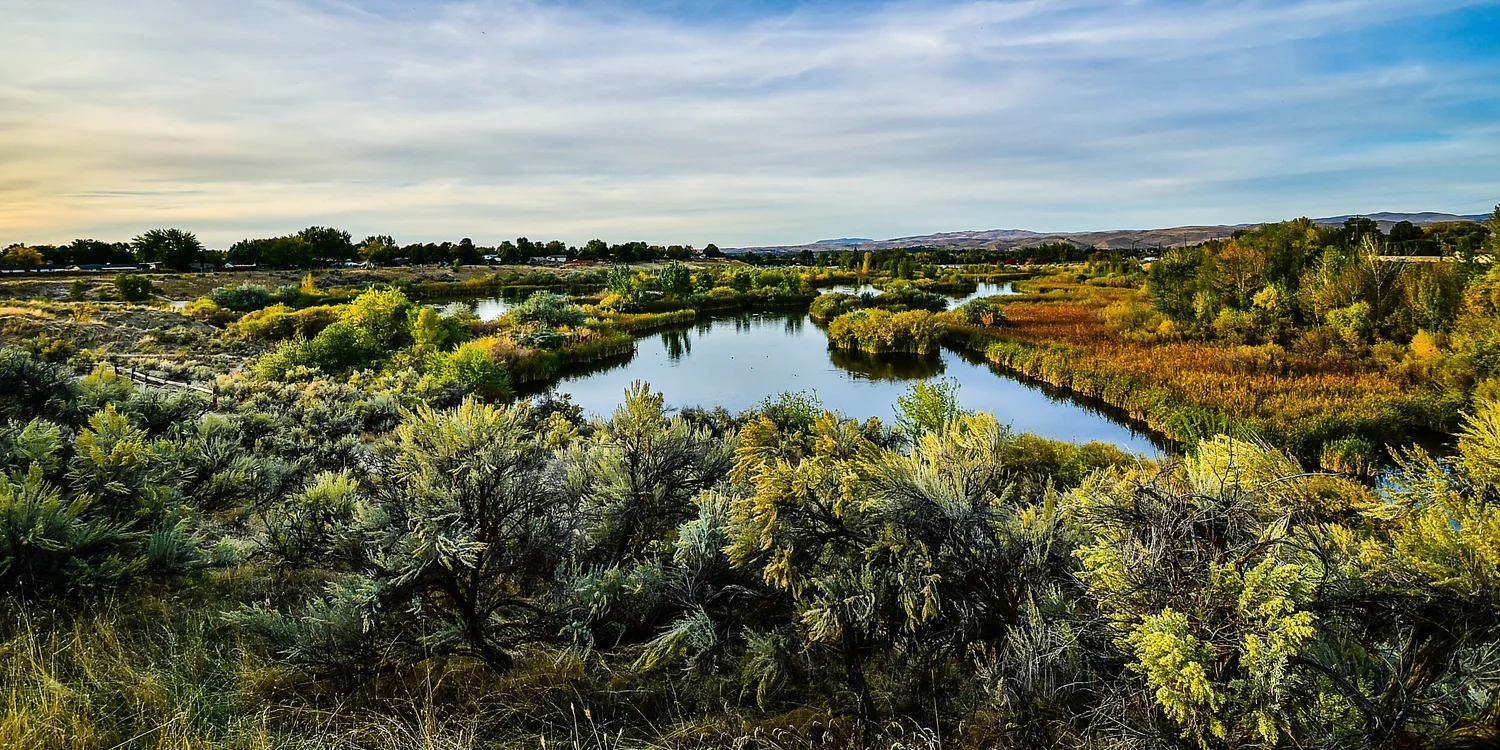 Nature For All — Golden Eagle Audubon