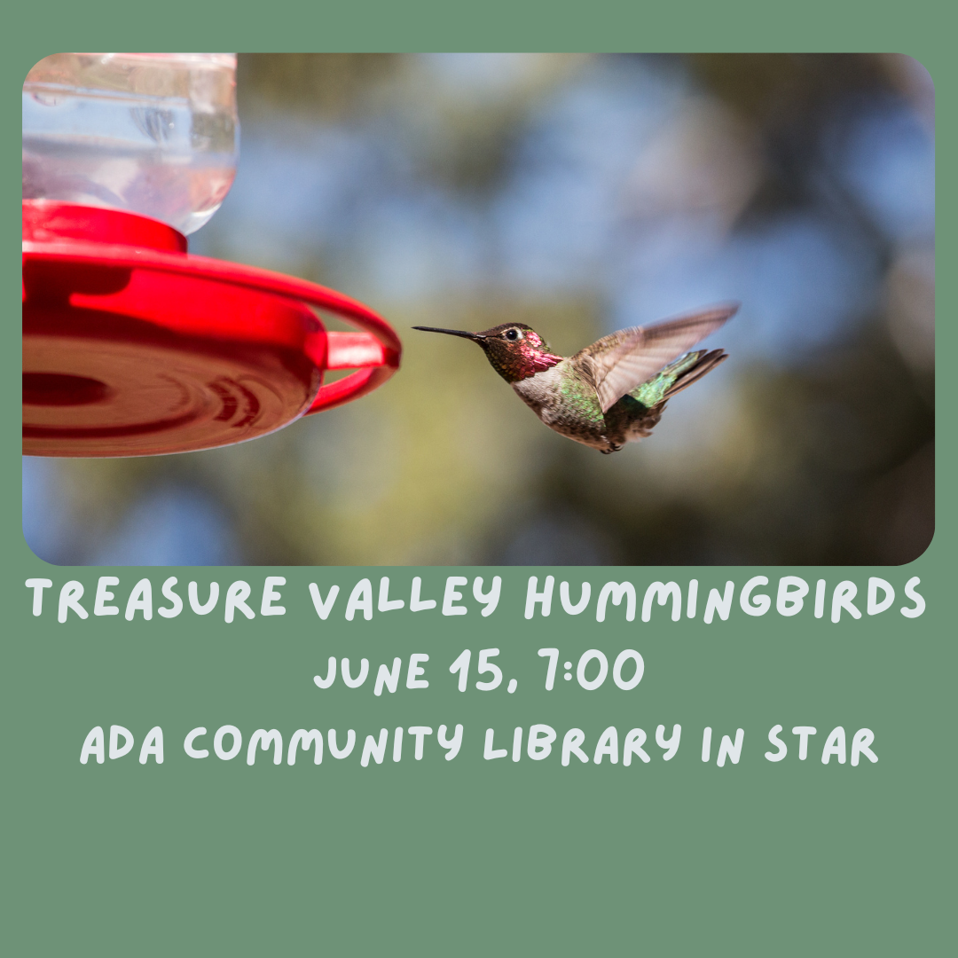 Hummingbirds of the Treasure Valley — Golden Eagle Audubon