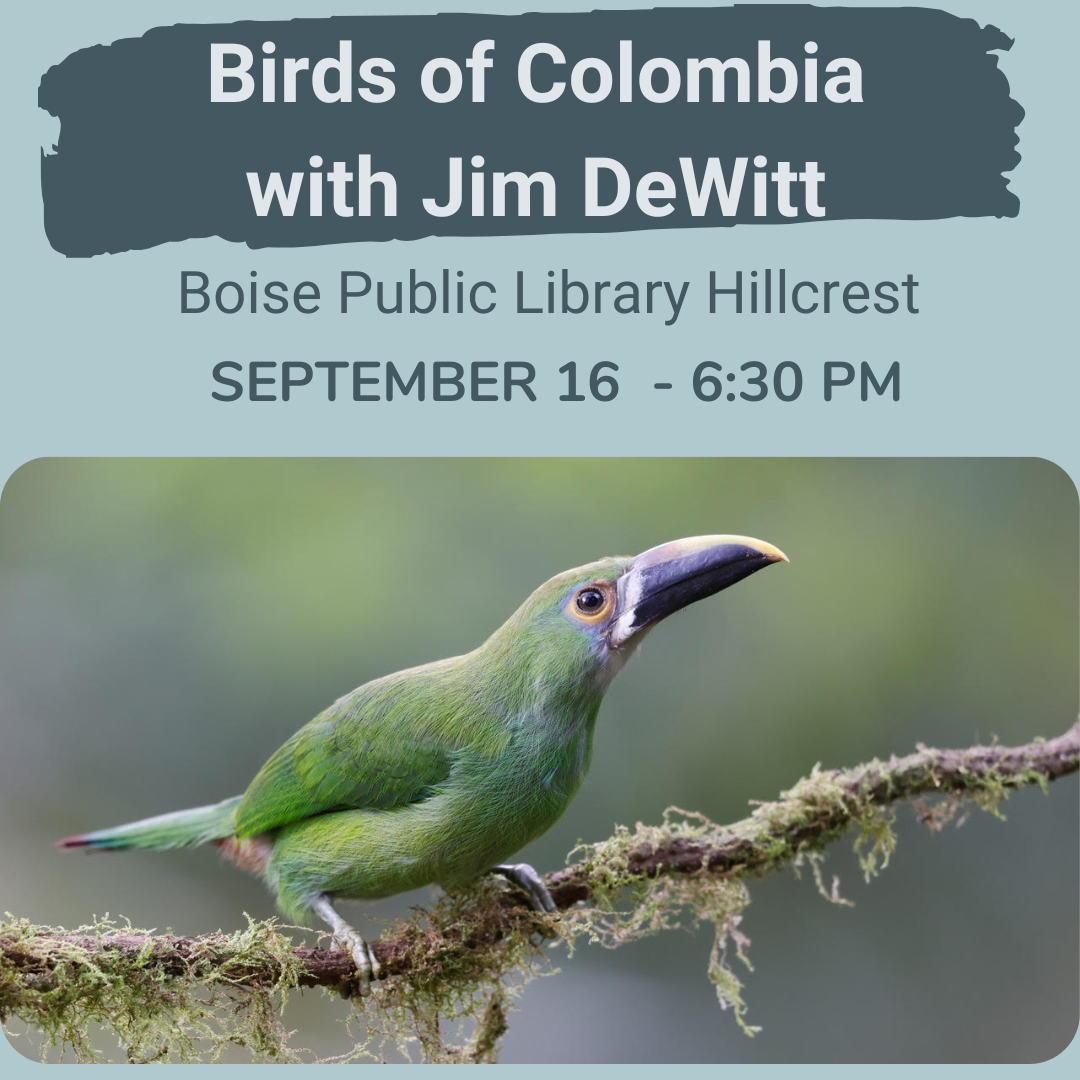 Birds of Colombia — Golden Eagle Audubon