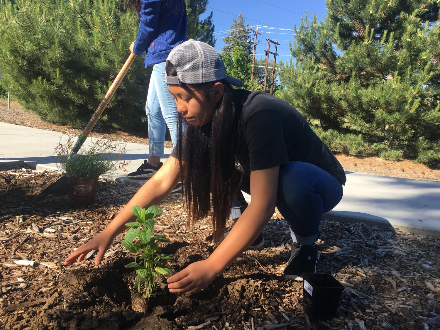 New Roots Program — Golden Eagle Audubon
