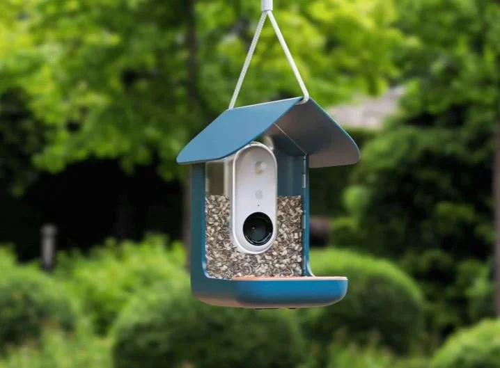 Up Close With Bird Buddy — Golden Eagle Audubon