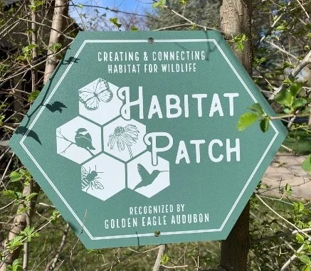 Insects In Your Habitat Patch — Golden Eagle Audubon