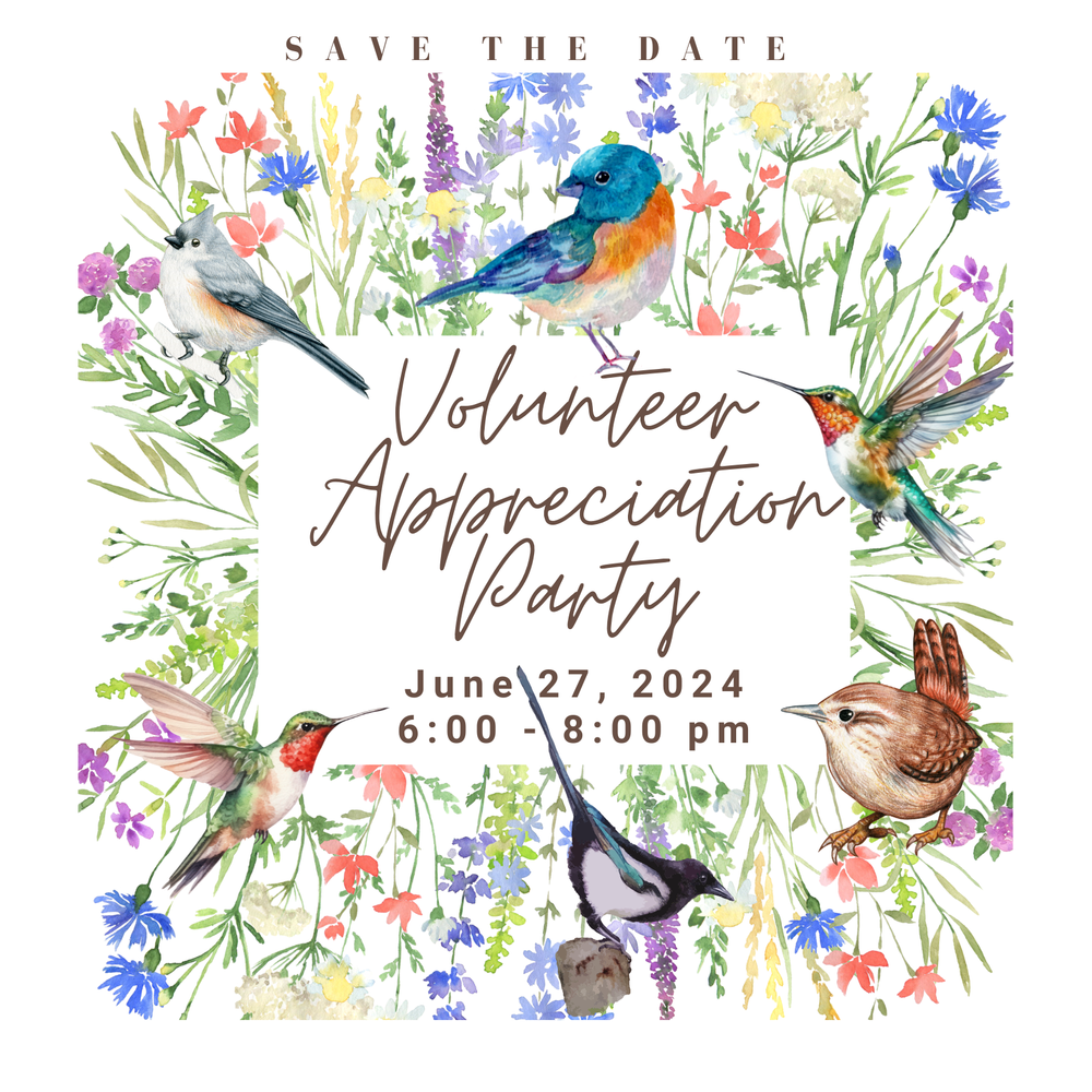 Volunteer Appreciation Party — Golden Eagle Audubon