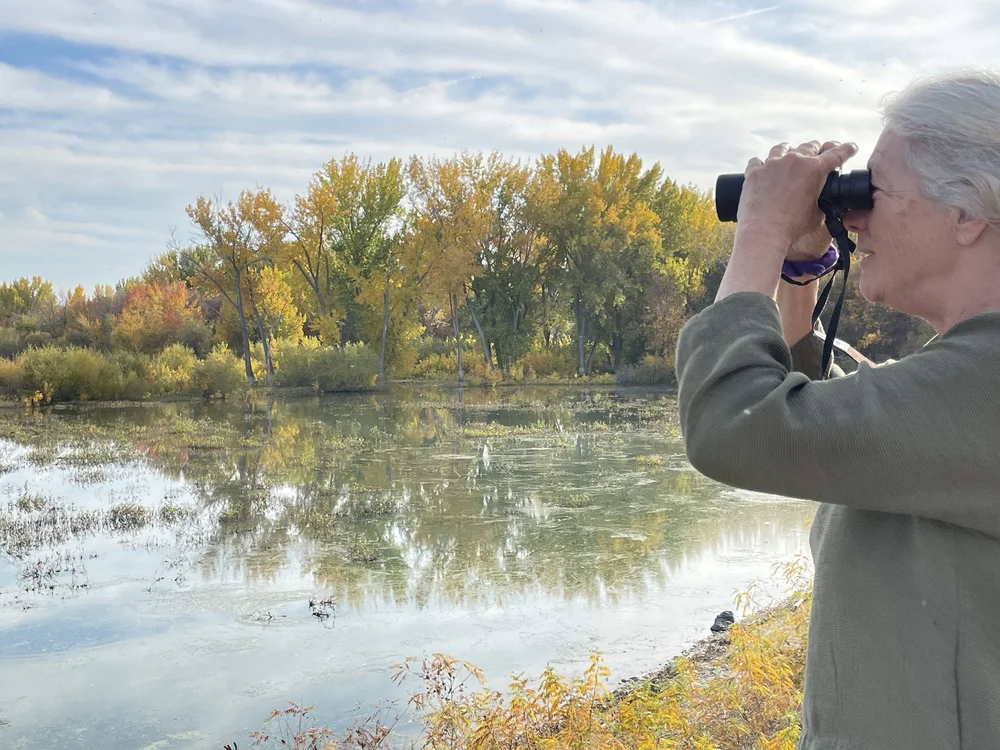 Introduction to Birding Community Education Class — Golden Eagle Audubon